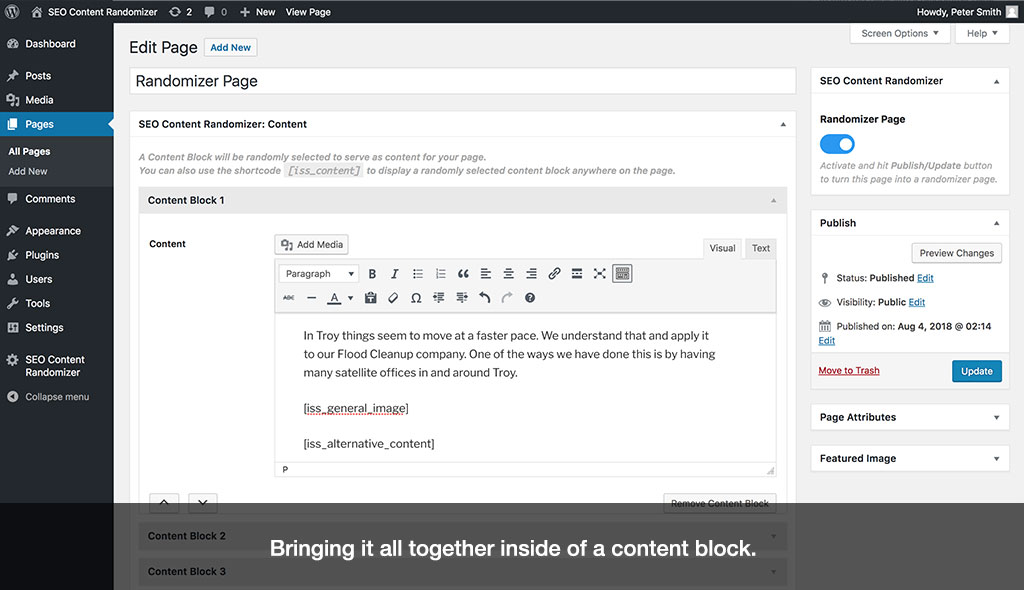 SEO Content Randomizer – IntellaSoft Plugins